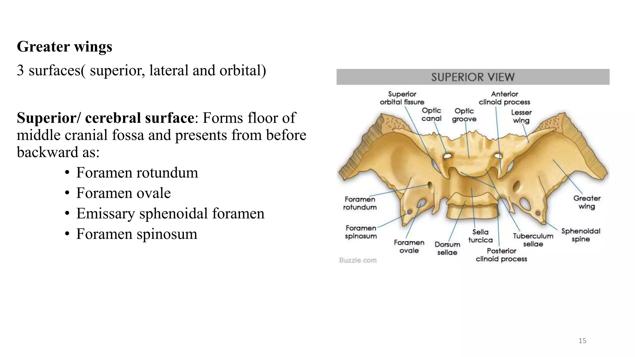 Anatomy of pns | PPTX