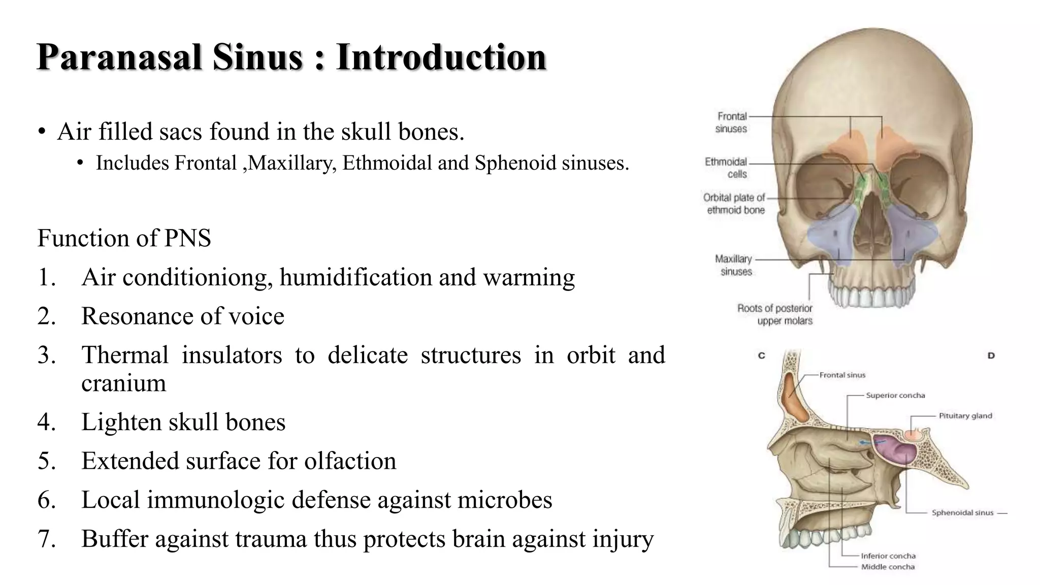 Anatomy of pns | PPTX