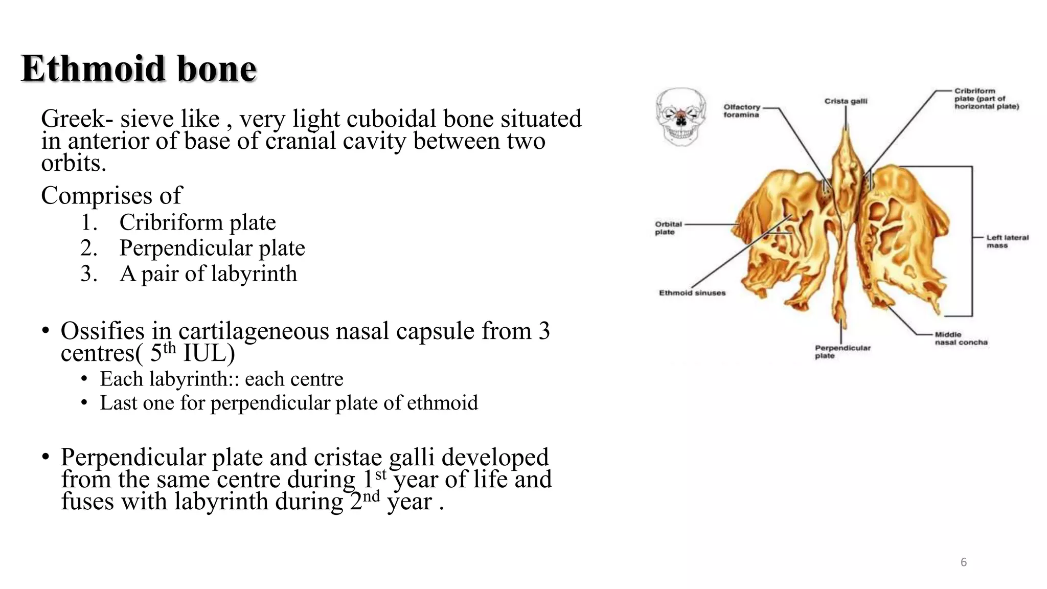 Anatomy of pns | PPTX