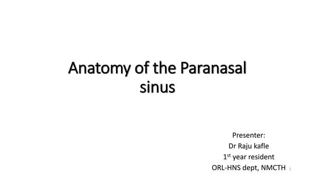 Anatomy of pns | PPT