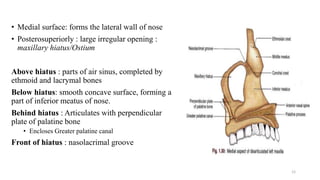 Anatomy of pns | PPTX
