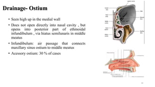 Anatomy of pns | PPTX