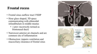 Anatomy of pns | PPTX