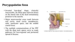 Anatomy of pns | PPTX