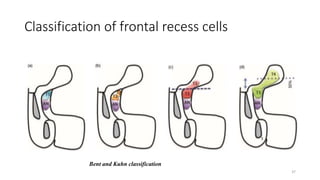 Anatomy of pns dr rk | PPTX