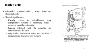 Anatomy of pns dr rk | PPTX