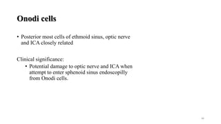 Anatomy of pns dr rk | PPTX