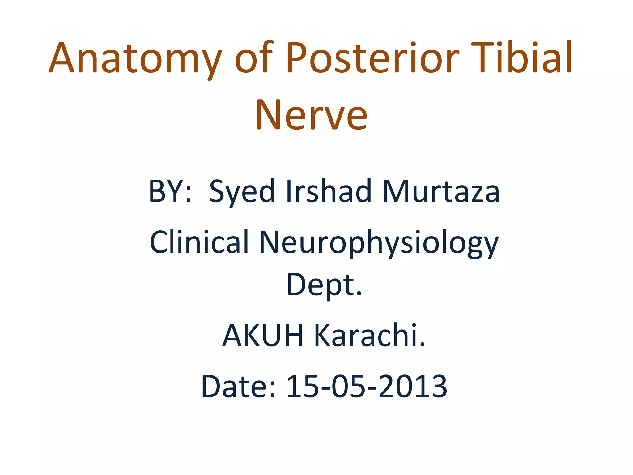 Anatomy of posterior tibial nerve by im | PPT