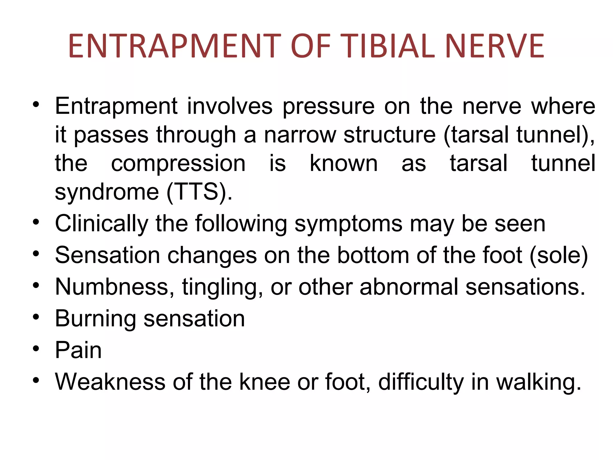 Anatomy of posterior tibial nerve by im | PPT