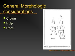 Anatomy of Primary Teeth age group 6mnth to 6.ppt