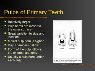 Anatomy of Primary Teeth age group 6mnth to 6.ppt
