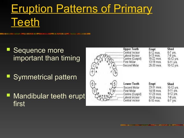 Anatomy of Primary Teeth age group 6mnth to 6.ppt