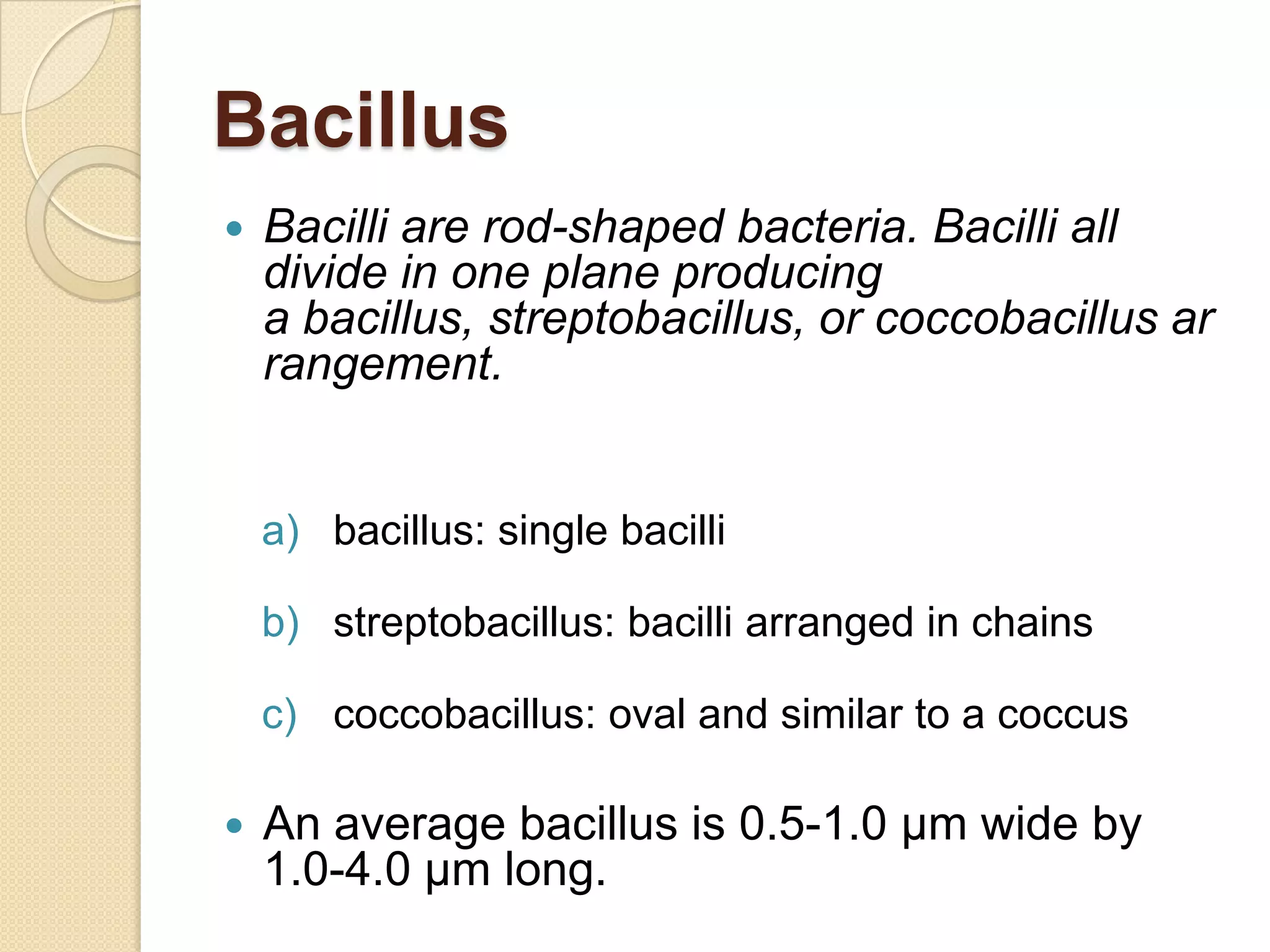 Anatomy of prokaryotic cells | PPTX