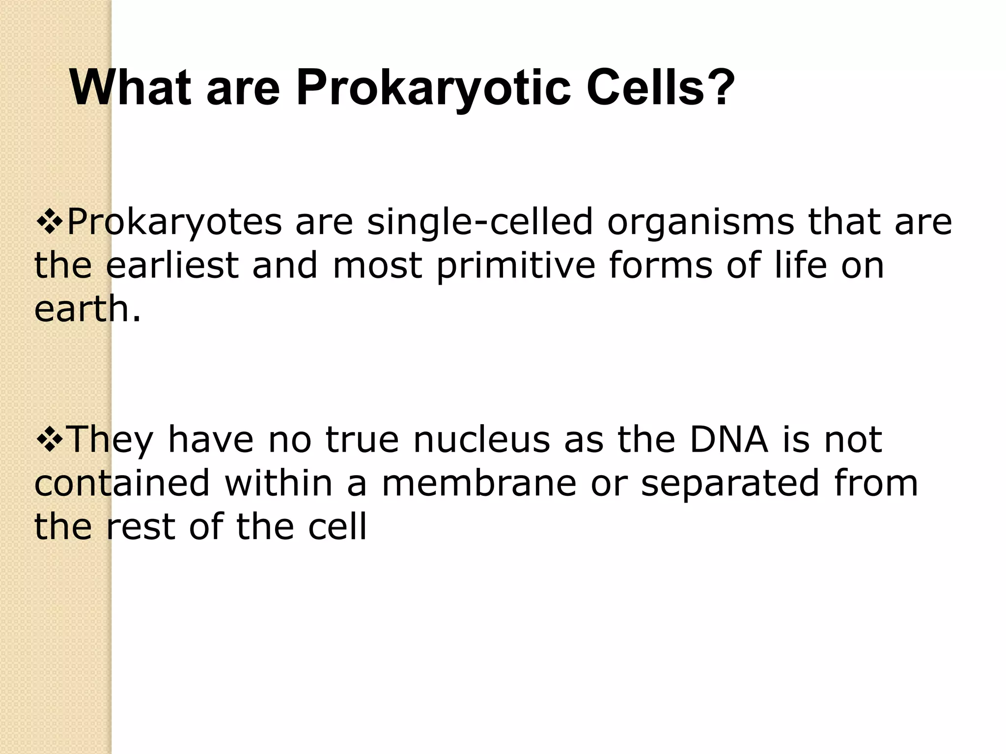 Anatomy of prokaryotic cells | PPTX