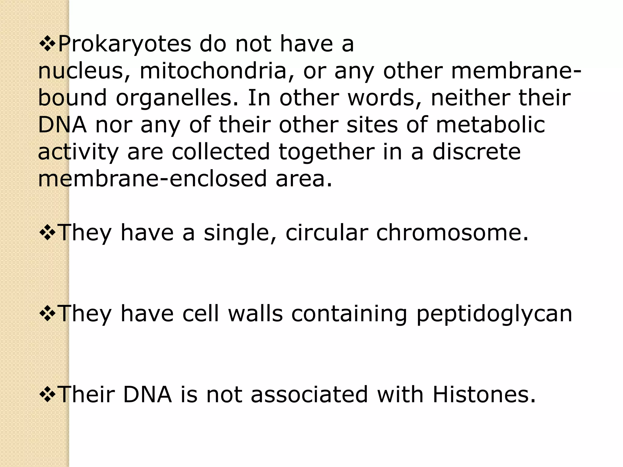 Anatomy of prokaryotic cells | PPTX