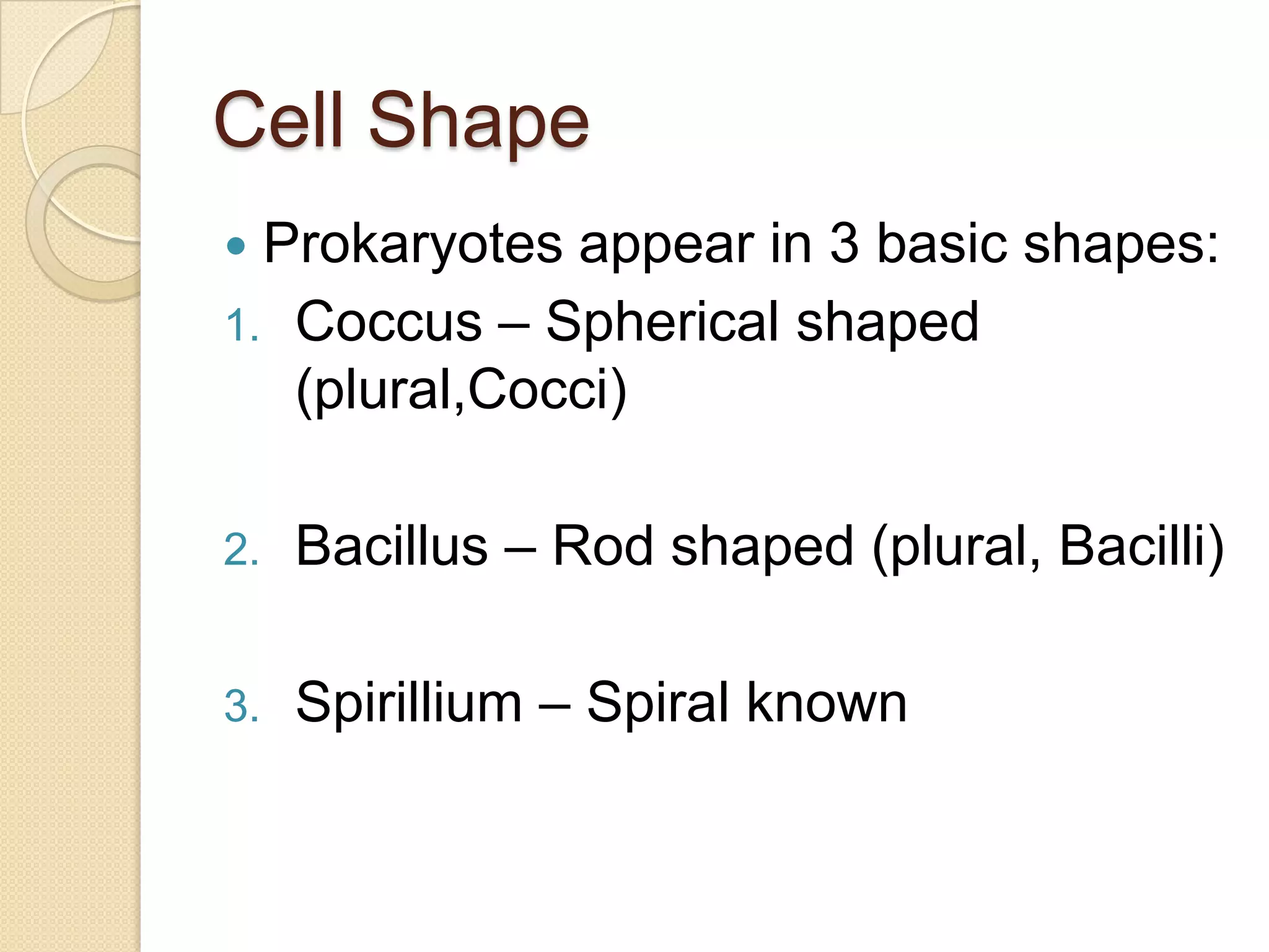 Anatomy of prokaryotic cells | PPTX