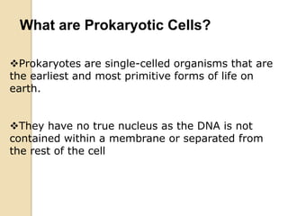Anatomy of prokaryotic cells | PPTX