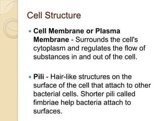 Anatomy of prokaryotic cells | PPTX