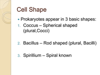 Anatomy of prokaryotic cells | PPTX