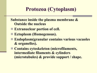 Anatomy Of Protozoan Cell | PPT