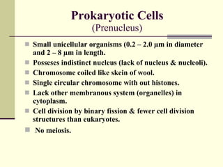Anatomy Of Protozoan Cell | PPT
