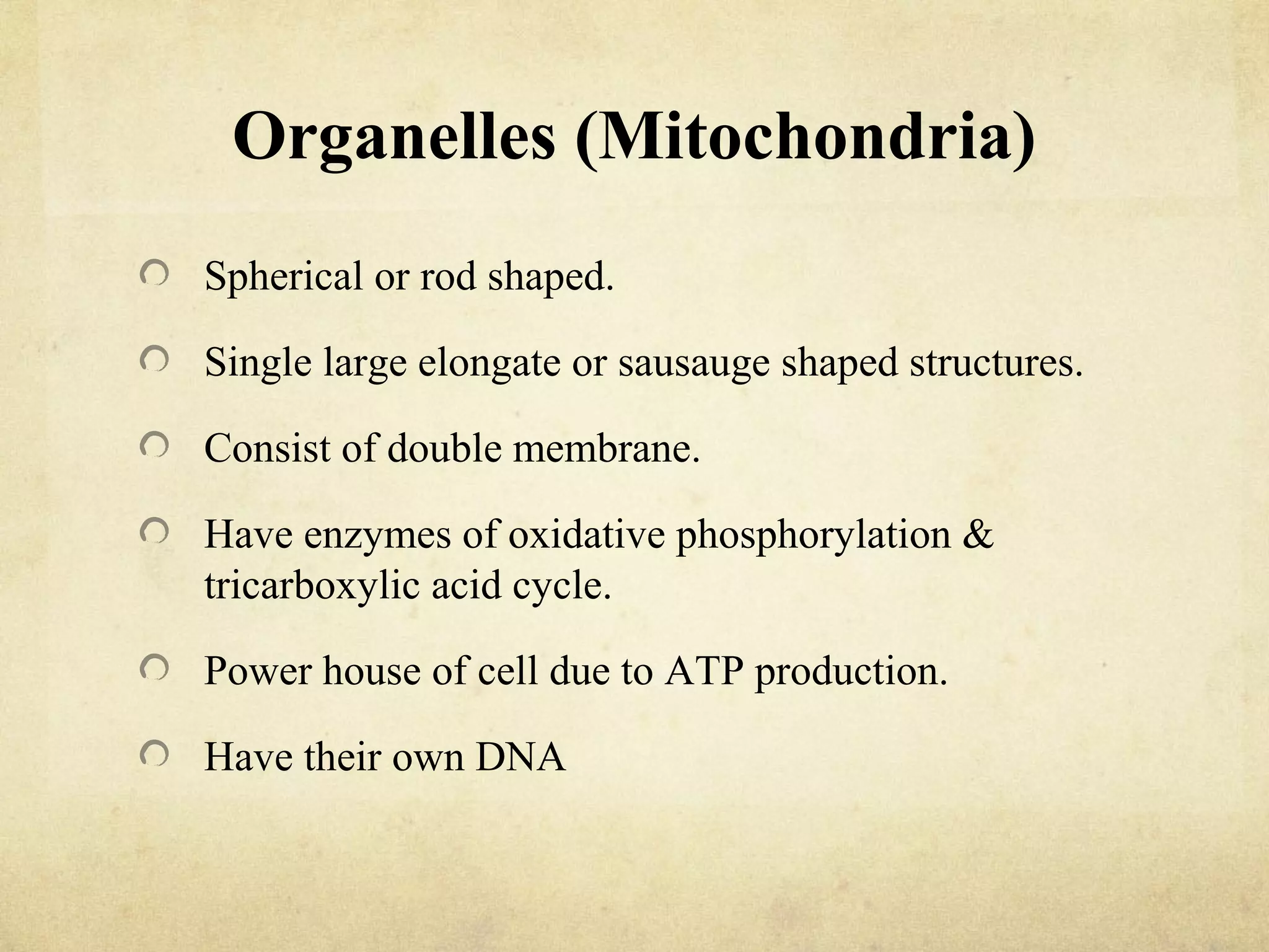 Anatomy of protozoans | PPT