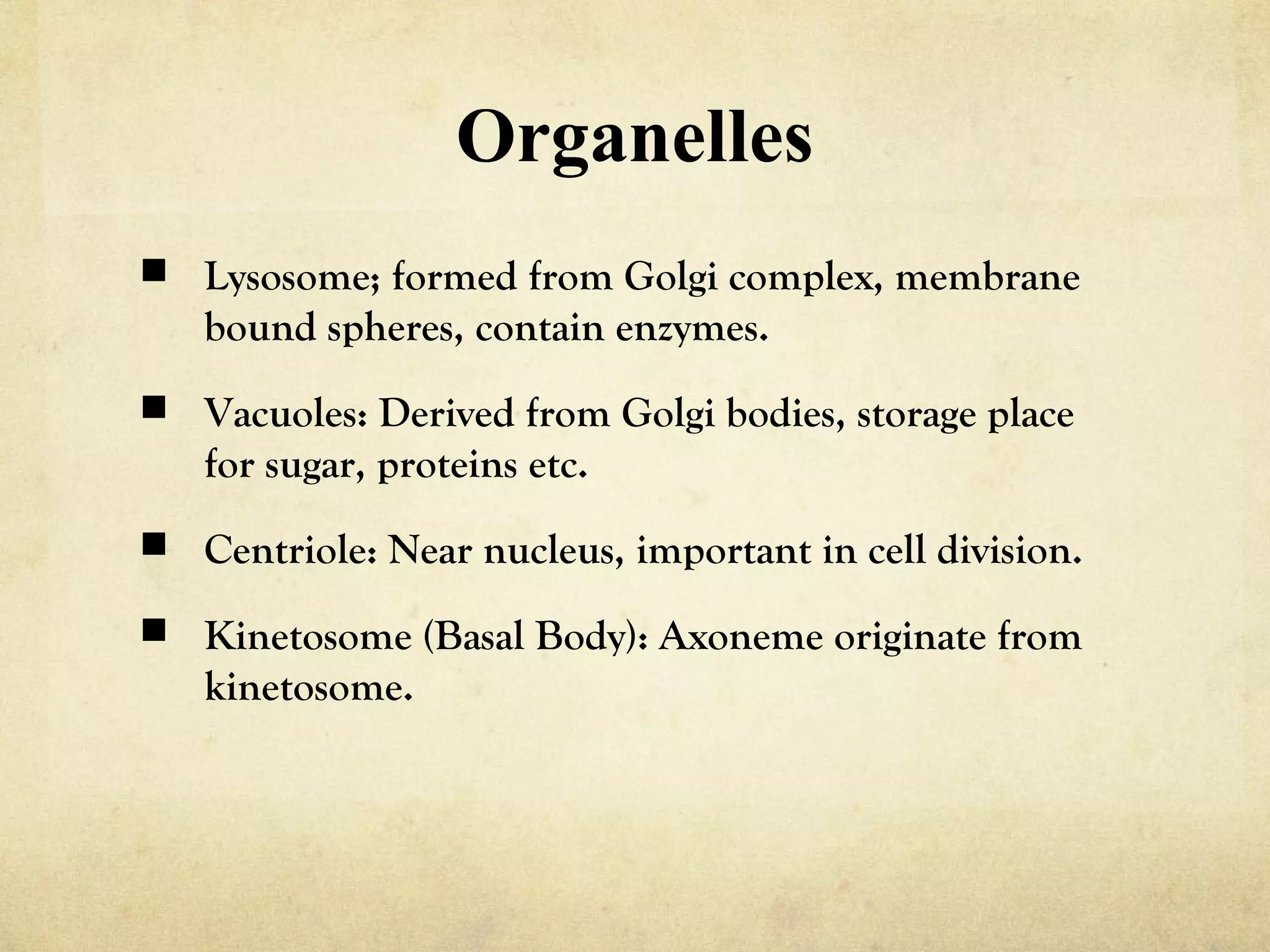 Anatomy of protozoans | PPT