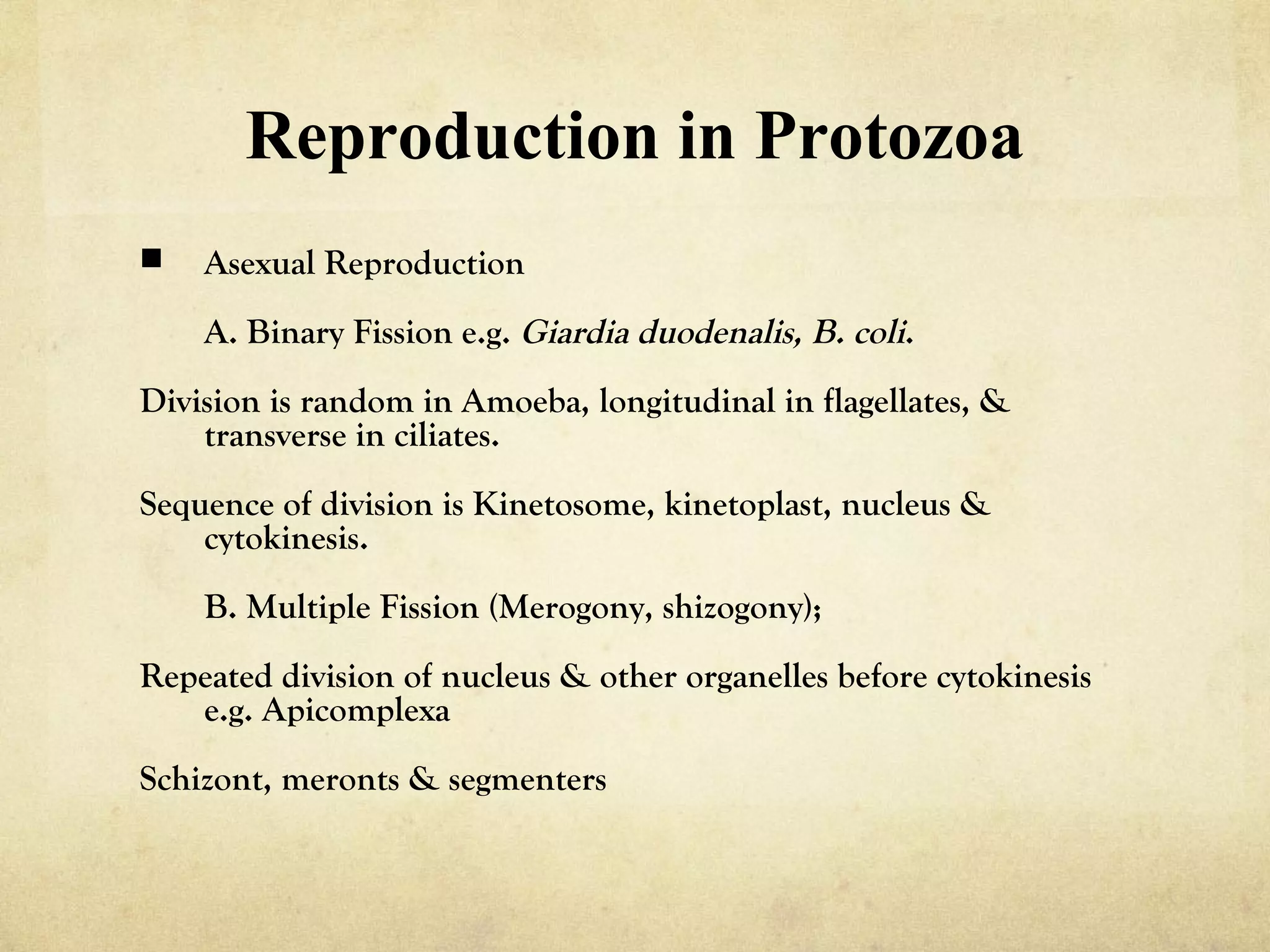 Anatomy of protozoans | PPT