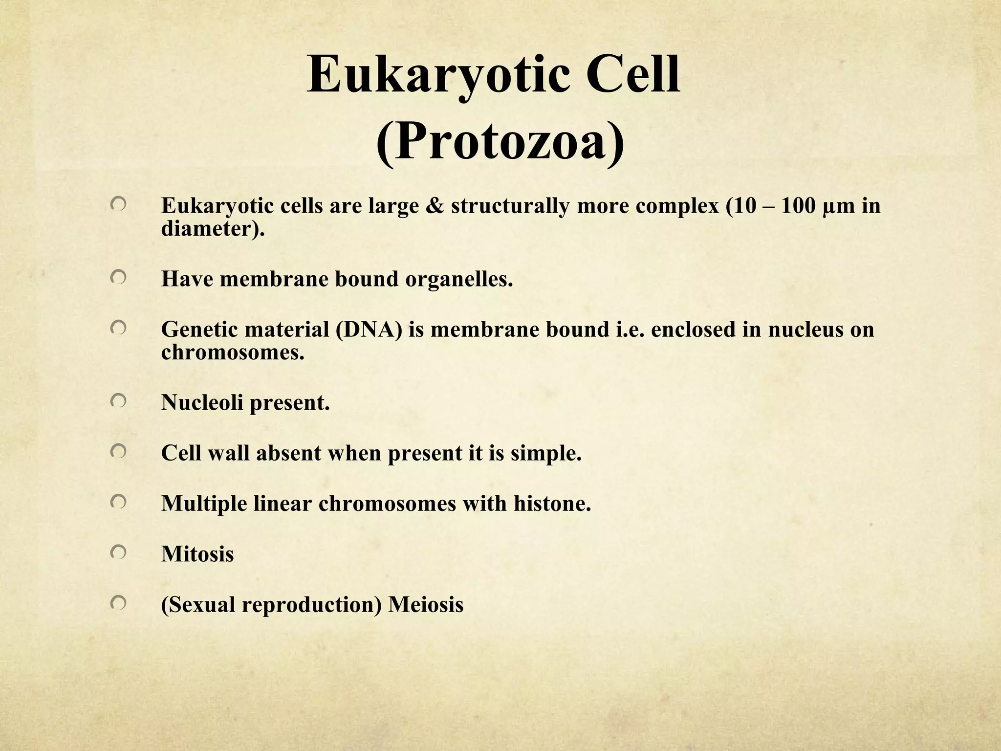 Anatomy of protozoans | PPT