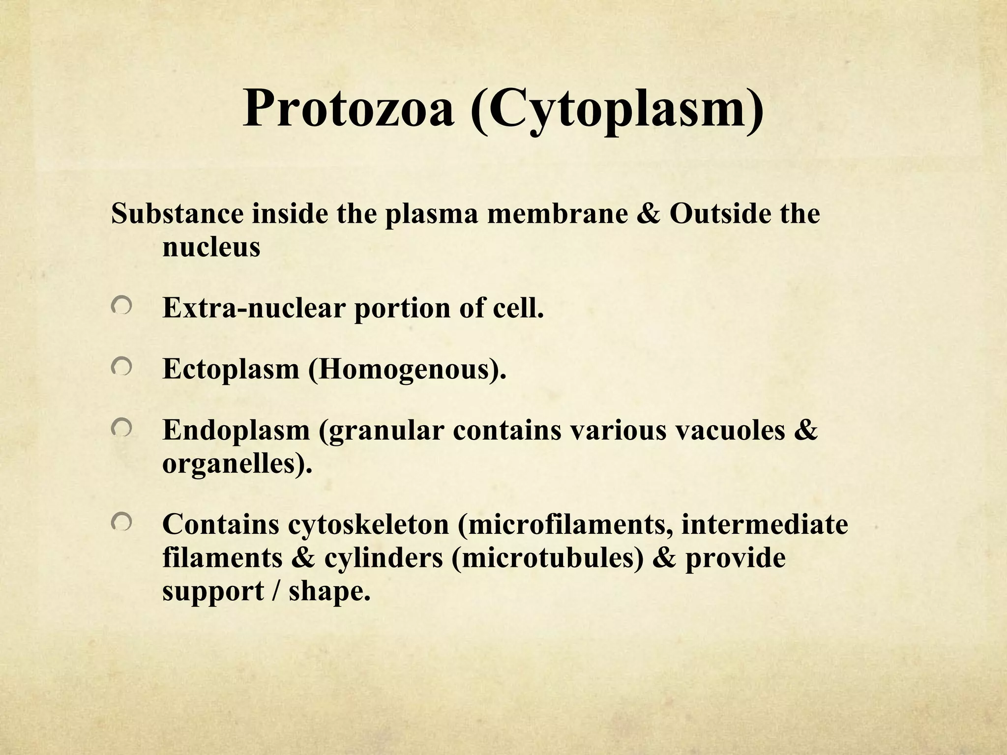 Anatomy of protozoans | PPT