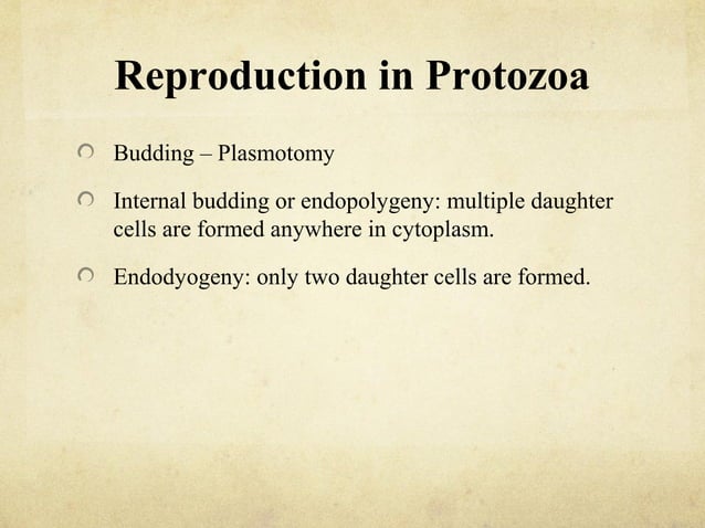 Anatomy of protozoans | PPT | Biological Sciences | Science