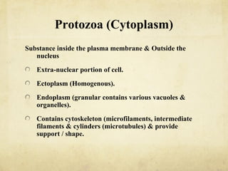 Anatomy of protozoans | PPT
