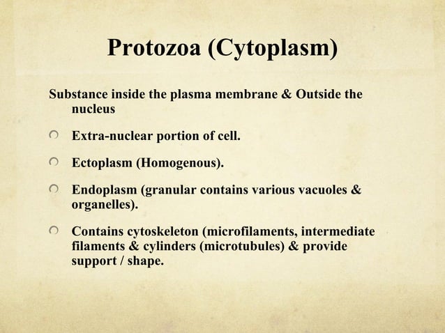Anatomy of protozoans | PPT | Biological Sciences | Science