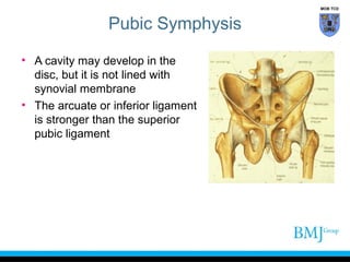 Anatomy of pubic symphysis and sacroiliac joint (www.Am-medicine.com) | PPT