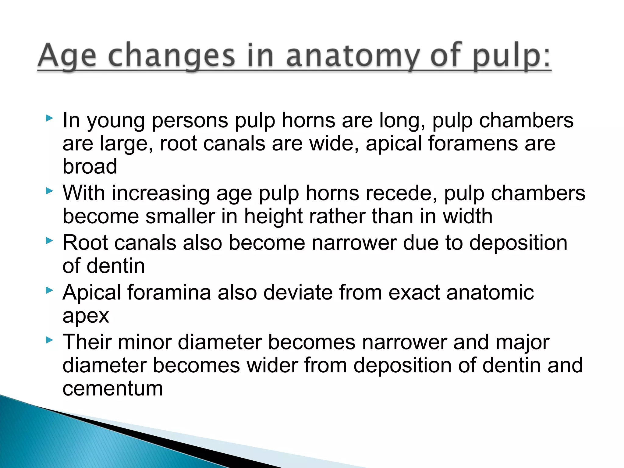Anatomy of Dental Pulp | PPT