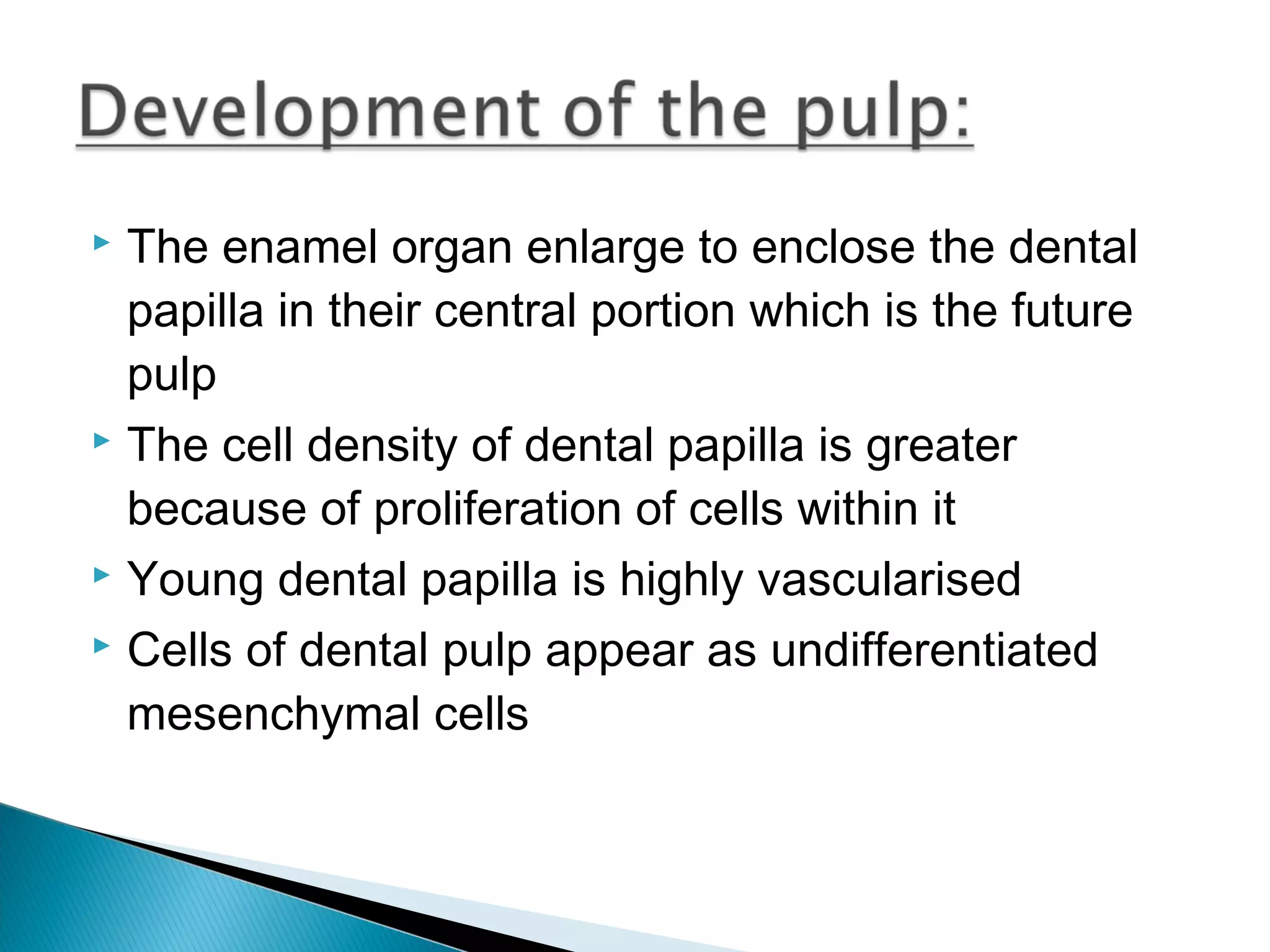 Anatomy of Dental Pulp | PPT