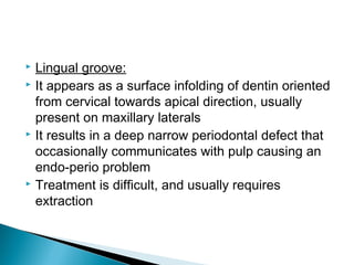 Anatomy of Dental Pulp | PPT