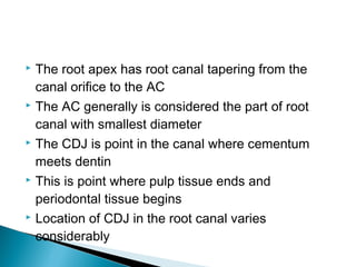 Anatomy of Dental Pulp | PPT