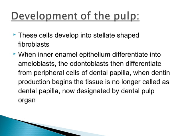 Anatomy of Dental Pulp | PPT | Dental Health | Diseases and Conditions