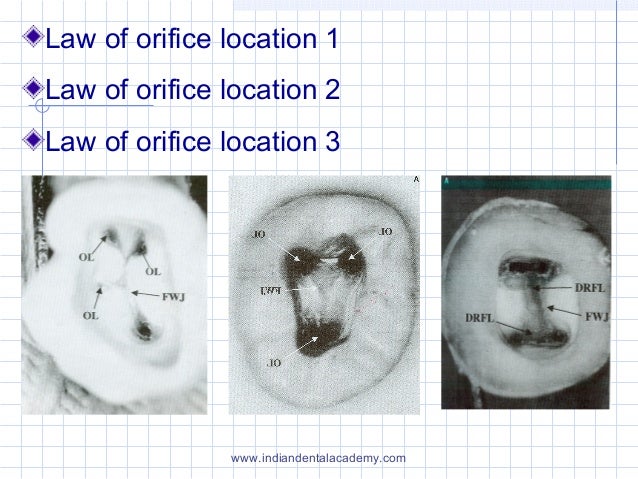 Anatomy of pulp/cosmetic dentistry courses