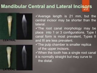 Anatomy of pulp space | PPTX