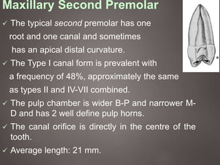 Anatomy of pulp space | PPTX