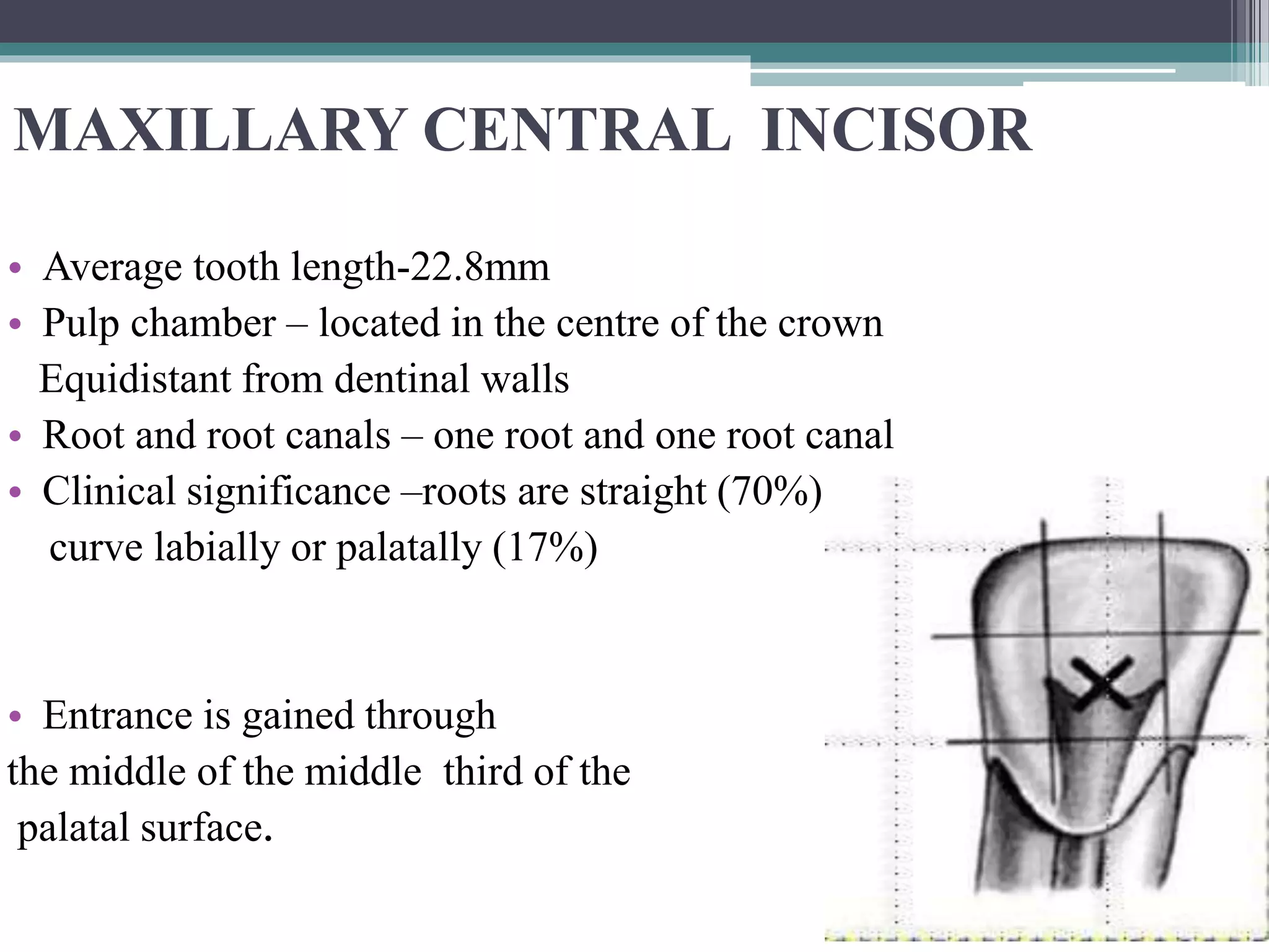 Anatomy of pulp canal and its access opening | PPTX