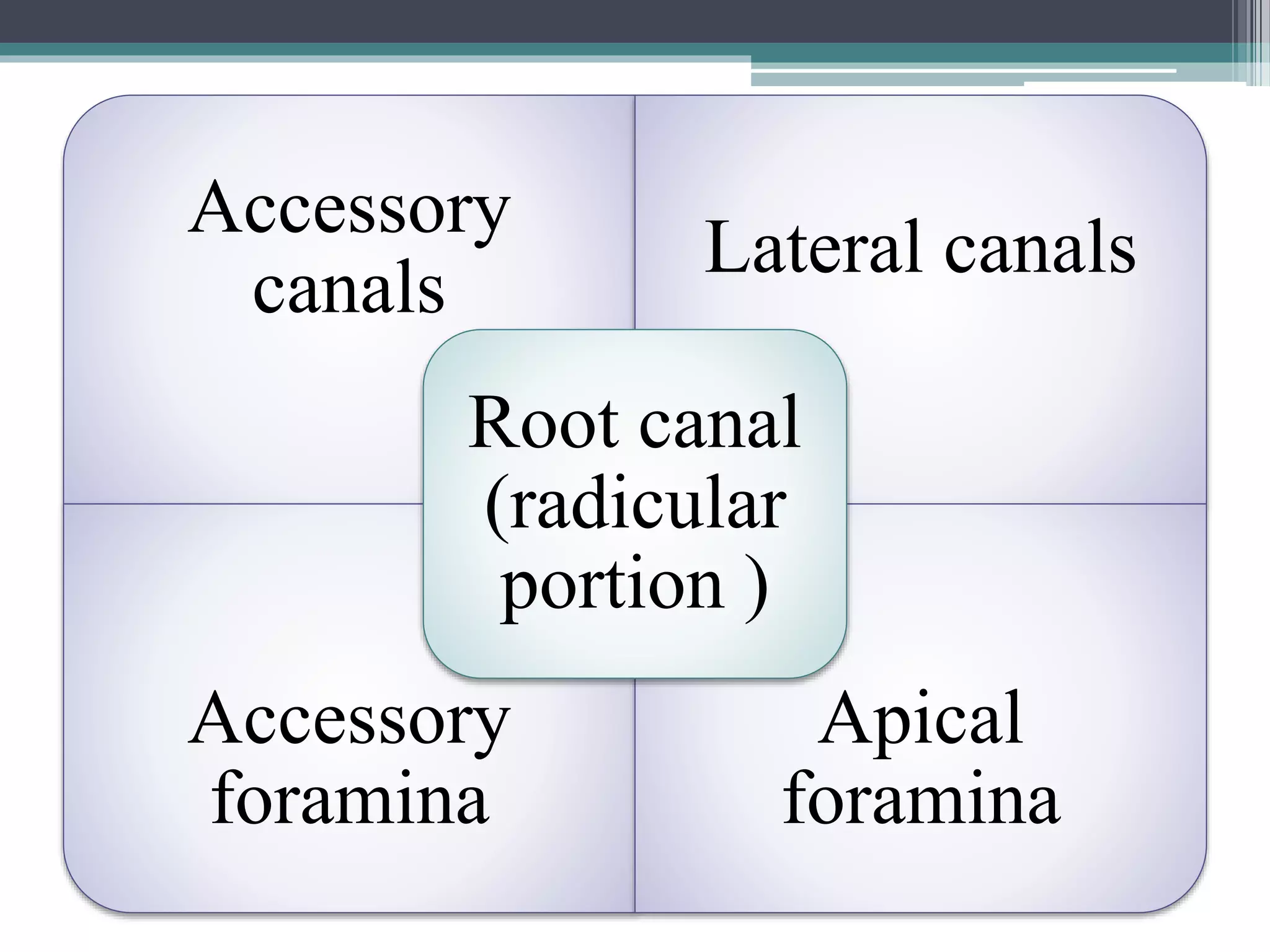 Anatomy of pulp canal and its access opening | PPTX
