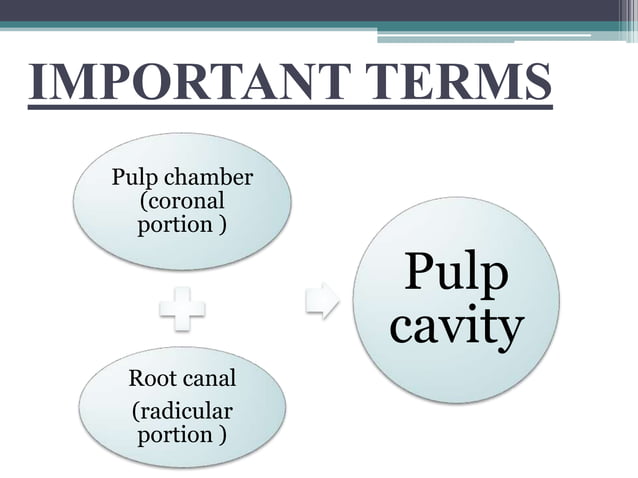 Anatomy of pulp canal and its access opening | PPT