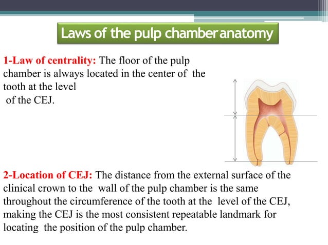 Anatomy of pulp canal and its access opening | PPT