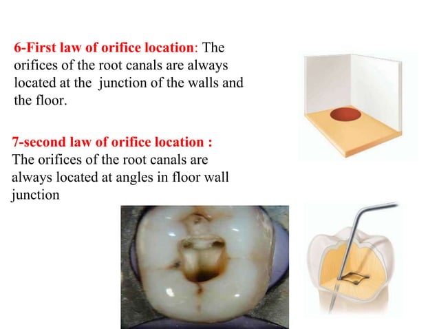 Anatomy of pulp canal and its access opening | PPT