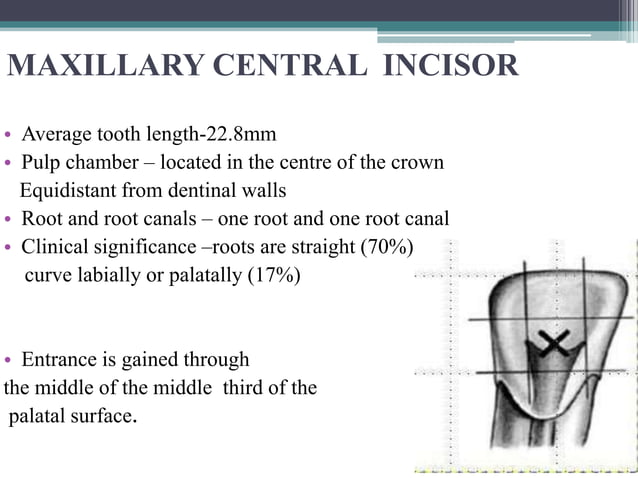 Anatomy of pulp canal and its access opening | PPT