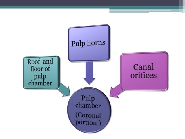Anatomy of pulp canal and its access opening | PPT