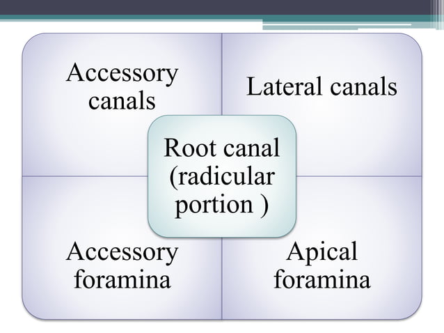 Anatomy of pulp canal and its access opening | PPT